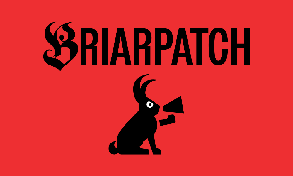 Publications - UNIFOR 333